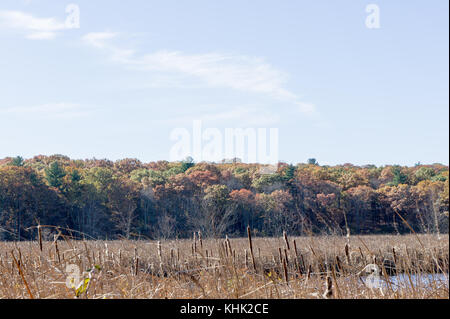 Panorama of Kendrick Pond in Cutler Park, Needham, MA Stock Photo - Alamy