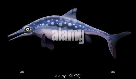 Ichthyosaur Ophthalmosaurus from the Late Jurassic period. Dated 2015 ...