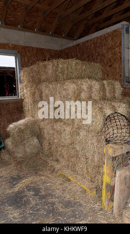 hay bale in horse stable Stock Photo - Alamy