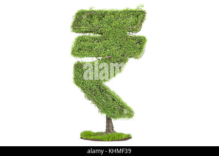 Indian Rupee tree on white background Stock Photo - Alamy