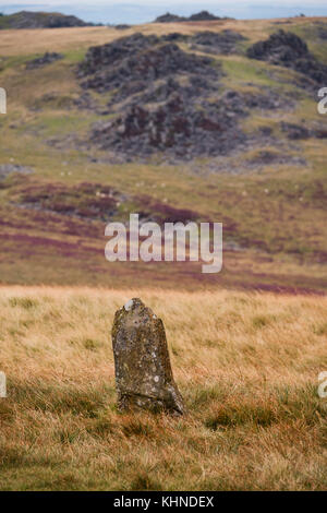 Standing stone at Carn Menyn Carn Meini rocky bluestone outcrop ...