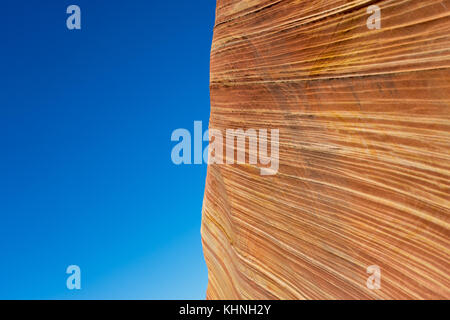 Wind erosion on a limestone rock causing an etched and furrowed ...
