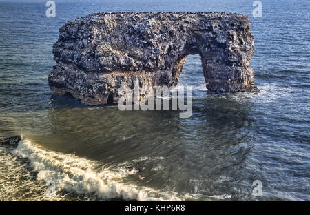 The magnesian limestone cliffs of Marsden Bay, lit by early morning ...