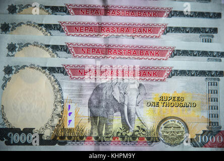 Nepalese banknotes (NPR) 1000 Rupees. The issuance of the currency is ...