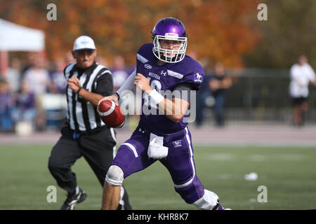 Western Mustangs # 12 Chris Merchant Stock Photo - Alamy