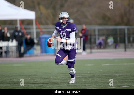 Western Mustangs # 12 Chris Merchant Stock Photo - Alamy