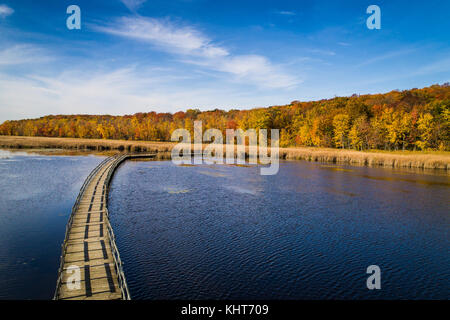 Aerial view over forest and mash during autumn vibrant colors Stock ...