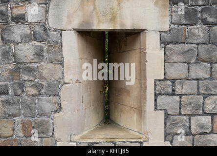 Arrow slit in medieval wall Stock Photo: 127614839 - Alamy