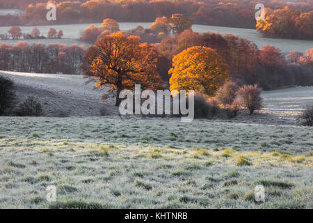 The rolling fields of Eridge Green on Kent East sussex border. An early ...