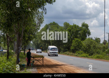 Kuy (Willughbeia edulis aka Willughbeia cochinchinensis) is a tropical ...