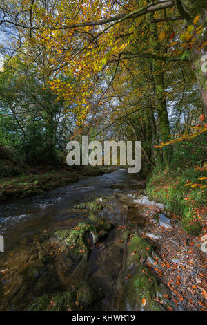 River Avon at Avonwick in South Devon,UK Stock Photo - Alamy