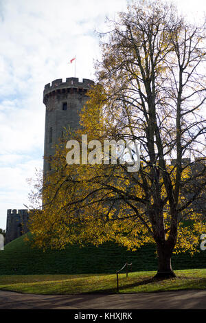 Guys Tower at warwick castle in the uk built in 1395 and standing 39m ...