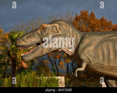 a Tyrannosarus Rex dinosaur sculpture anatomically correct Stock Photo ...