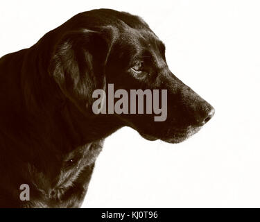Sepia tone black and white photograph of Narrowboats on the Waterways ...