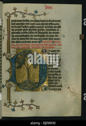 A visual representation of the biblical 'Tree of Life' from Revelation ...