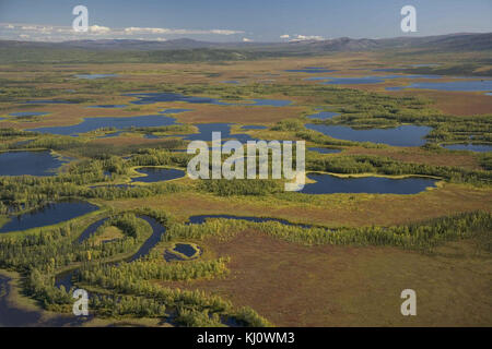 Kanuti river upper wetlands Stock Photo - Alamy