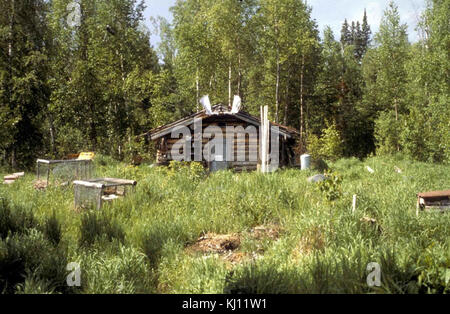 Log cabin along the Nowitna river Stock Photo - Alamy