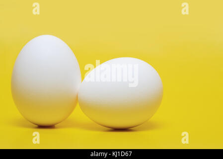 White hen's eggs isolated on white background. Hen's eggs isolated on ...