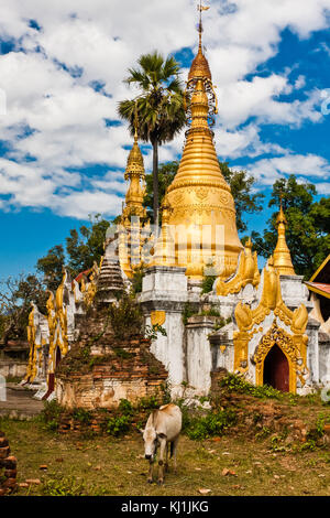 The stupas of Sagar, Taunggyi, Myanmar Stock Photo - Alamy