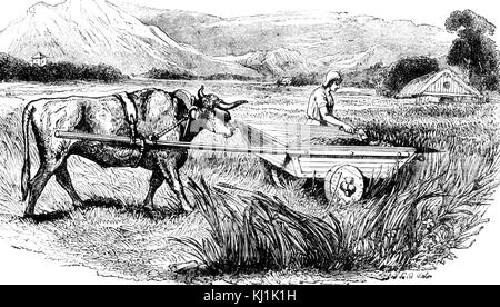 Reconstruction of an ancient roman cart Stock Photo - Alamy