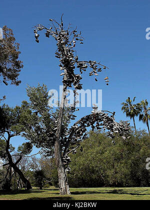 The San Diego Shoe Tree in Morley Field is an iconic landmark where old ...
