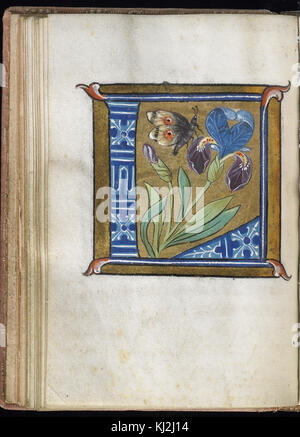 W.200.17V French - Leaf from Alphabet Book - Walters W20017V - Open ...