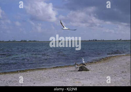 Manra Lagoon AKK Stock Photo - Alamy