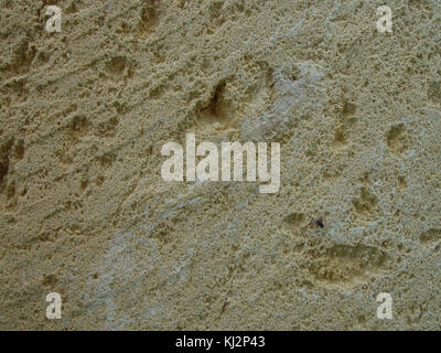 Sawn limestone block texture Stock Photo - Alamy