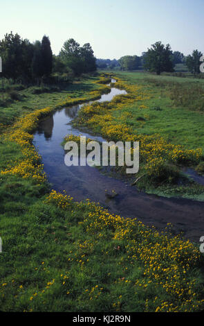 A rocky marsh run meanders through lush spring vegetation, creating a ...