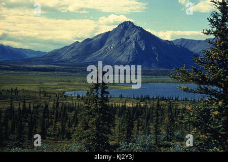 Sheenjek valley Arctic landscape in summer Stock Photo - Alamy