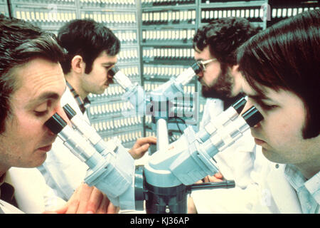 Pathologists looking into microscopes (1 Stock Photo - Alamy