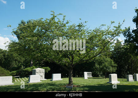 Task Force Smith Memorial in Arlington National Cemetery. (27706852260 ...