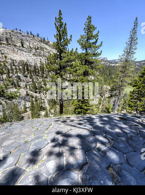 Top of Basalt formations at Devil's Postpile National Monument near ...