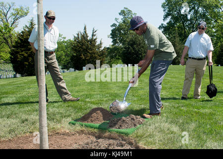 Arlington National Cemetery horticulture department conducts a tree ...