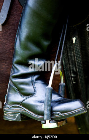 Riding boots in stirrups Stock Photo - Alamy