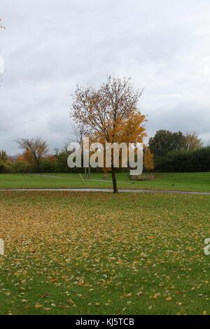 The autumn scenes in the month of gloomy November Stock Photo - Alamy