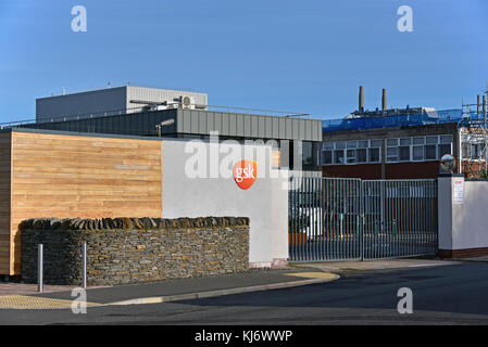 GSK company logo. GlaxoSmith Kline Pharmaceutical Factory. Ulverston ...