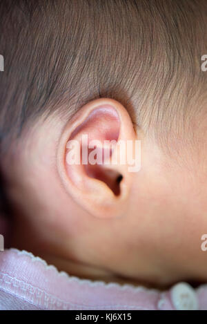 newborn baby ear close up Stock Photo - Alamy