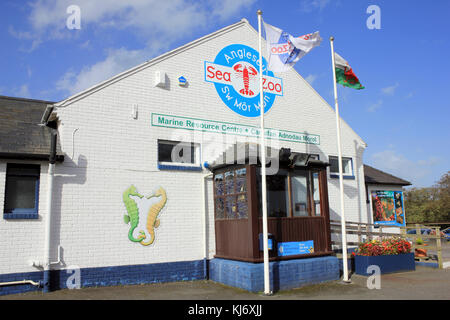 Anglesey Sea Zoo Stock Photo - Alamy