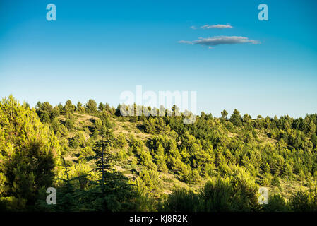 Landscape around Mount Ventoux, Provence, France, Europe Stock Photo ...
