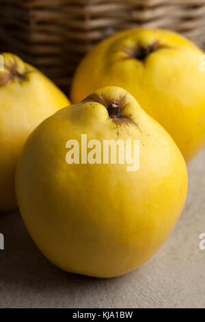 Raw quinces close up Stock Photo - Alamy