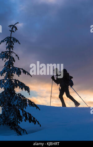 Nature guide Robert Fluet skis to a summit for sunset in Monts Valin NP ...