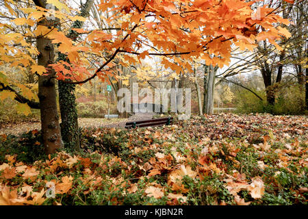 Colorful autumn in Bonn, Germany Stock Photo - Alamy