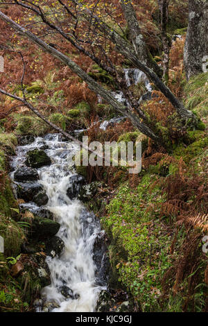 Waterfall at Inversnaid, Loch Lomond, Scotland Stock Photo - Alamy