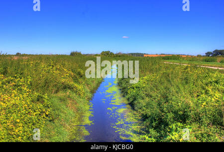 Gfp wisconsin glacial drumlin state park fields on a hill Stock Photo ...