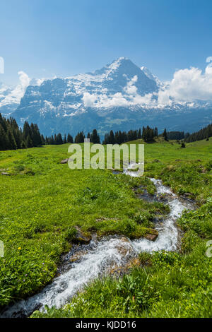Selective focus shot of a creek near houses in a mountainous region in ...
