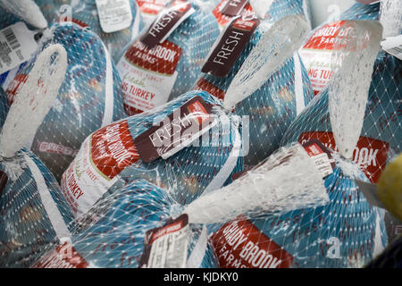 Shady Brook brand fresh Turkeys for sale in a supermarket in New York ...