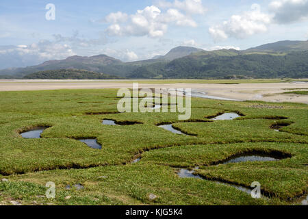 The Mawddach Estuary in Wales, described as one of the most beautiful ...