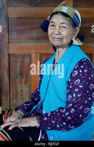 Bahnar (Ba Na) ethnic house, Ethnography museum, Hanoi, Vietnam Stock ...