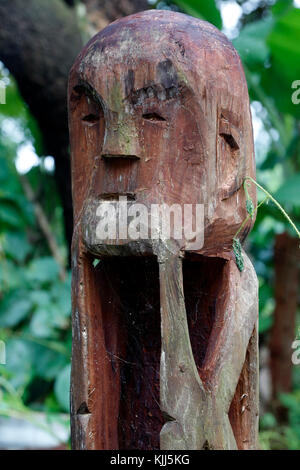 Jarai (Gia Rai) ethnic group. Buffalo sacrifice for funeral rites. Kon ...
